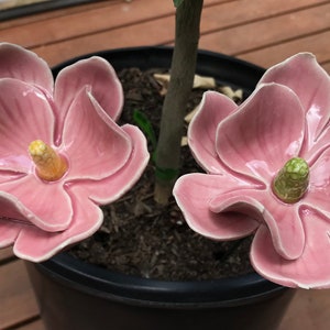 Pink Magnolia, (1 Pc), Magnolia, Pale Pink, Dusty Pink, Ceramic ...