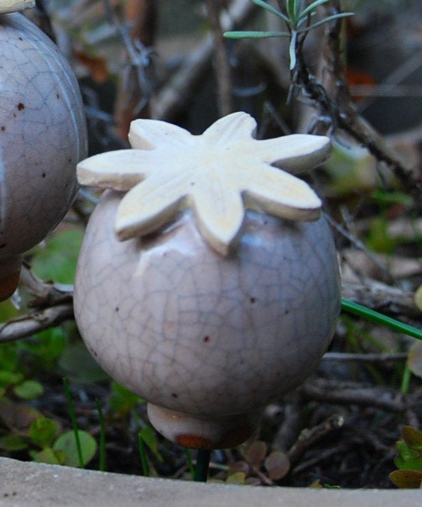 Poppy pods Set of 2 Ceramic poppy Ceramic flowers Garden | Etsy