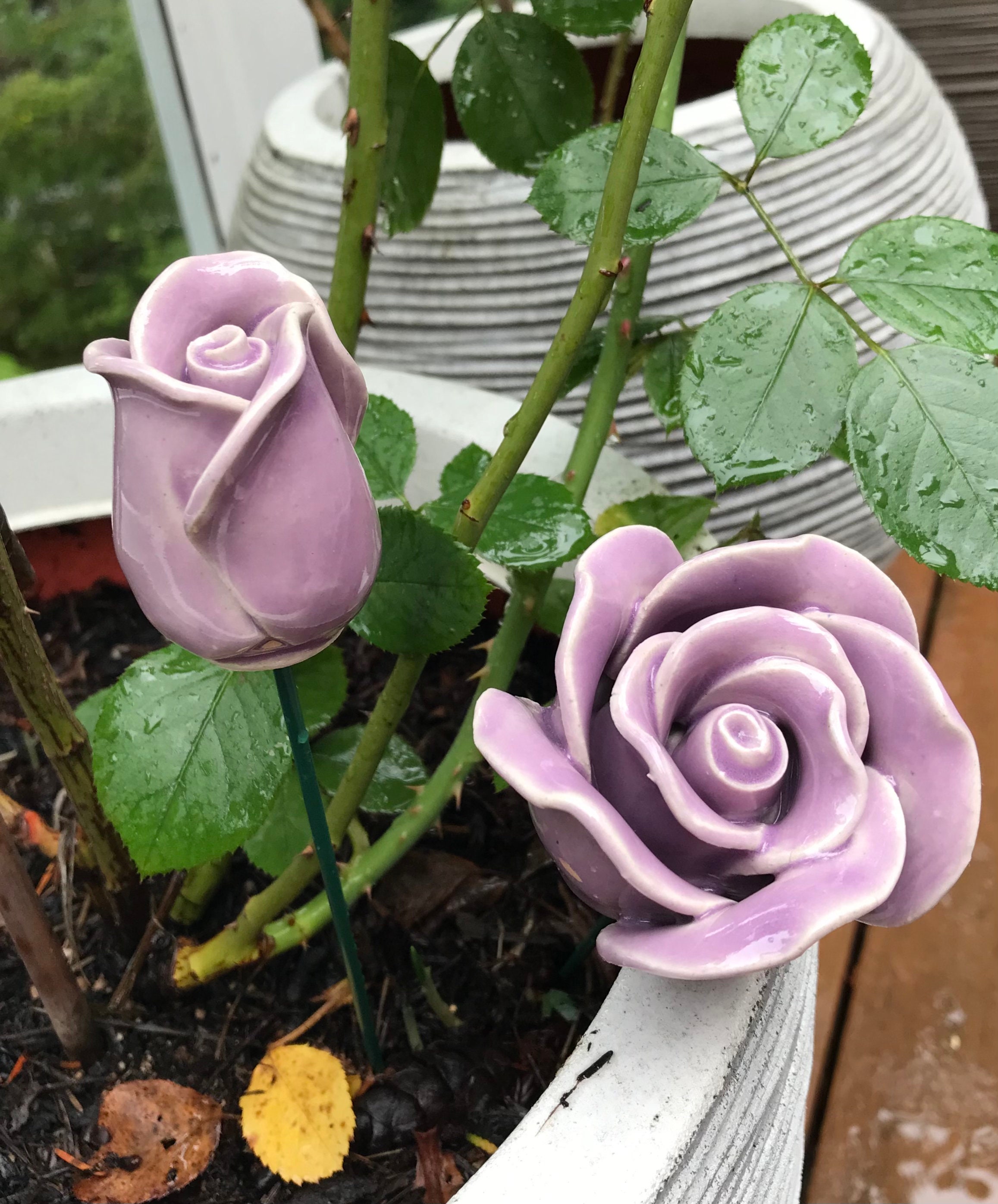 Sterling Silver Rose Bush