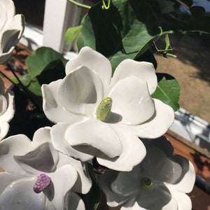 White Magnolia, (1 Pc), White Magnolia, Ceramic Magnolia, Handmade ...