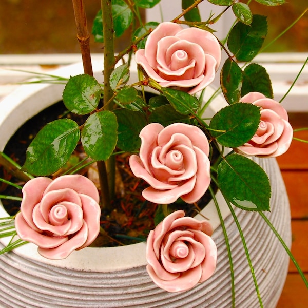 Porcelain Roses - Etsy