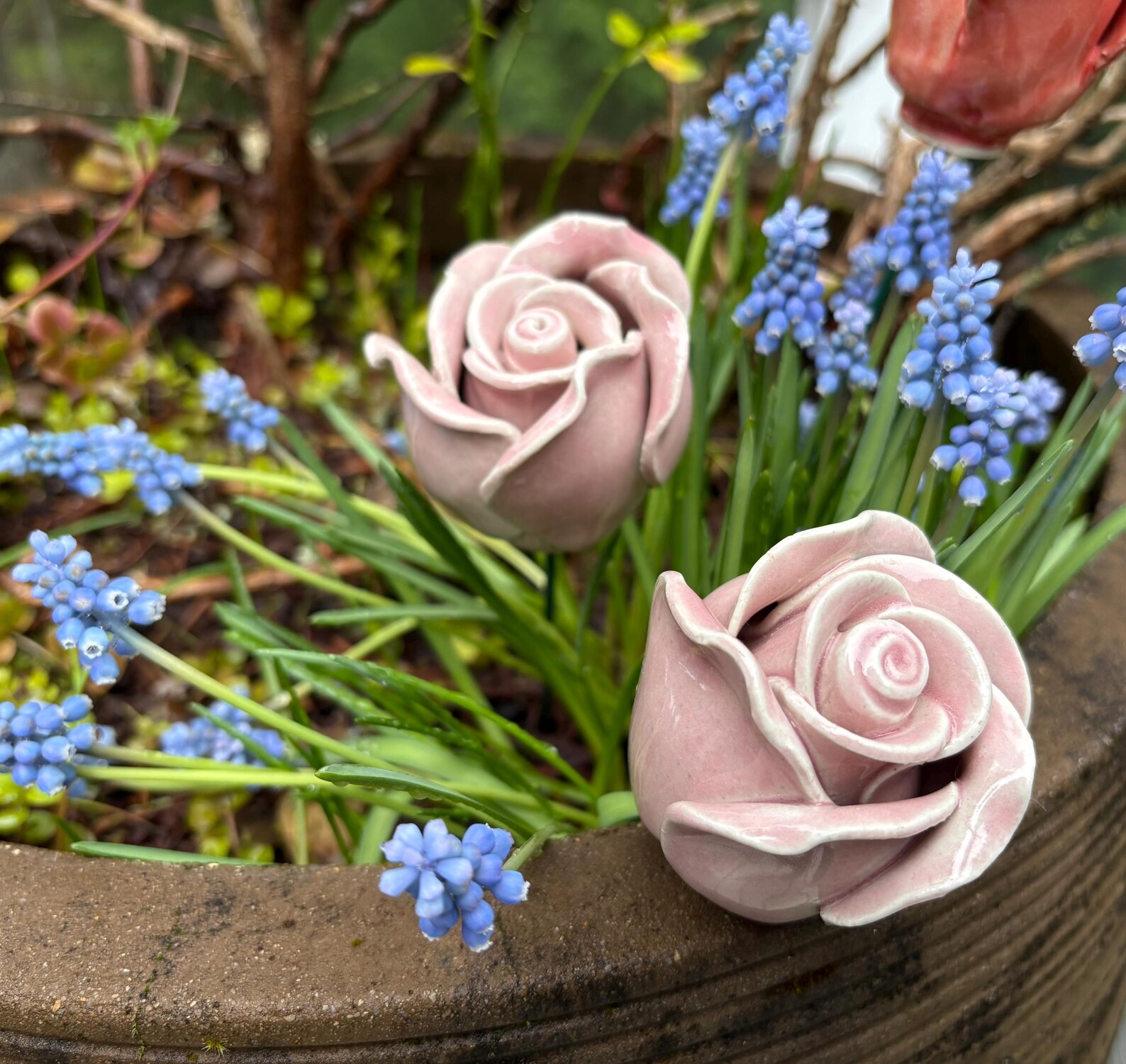 Roses (1pc), Pale Pink Roses, Pale Coral Rose, Porcelain Rose, Mother's ...