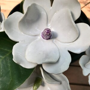 White Magnolia, 1 Pc, White Magnolia, Ceramic Magnolia, Handmade ...