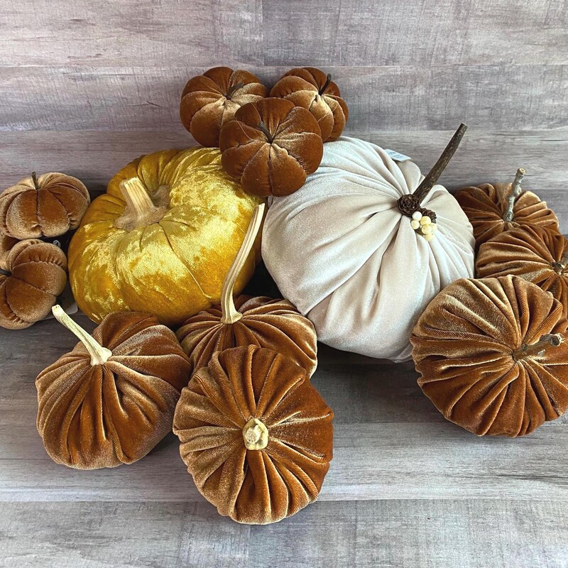 Pumpkin Stems - Etsy