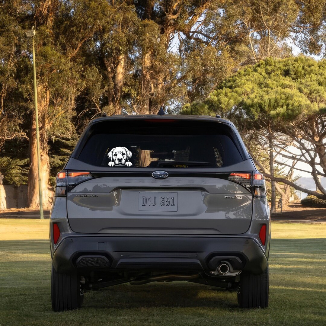 Peeping Dog Bumper Sticker Peeping Dog Sticker Custom Dog Bumper ...