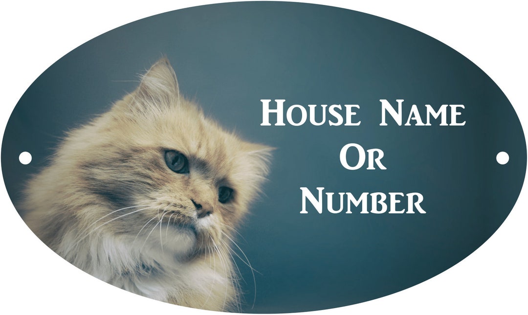 Fluffy Cat House Sign Outdoor Metal Printed Coloured House - Etsy