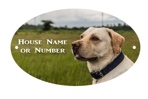 Wall Hangings UV Printed Design Labrador in Green Grass House Sign ...