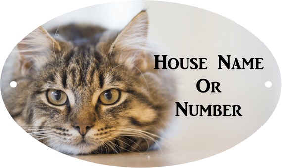 Tabby Cat House Sign Outdoor Metal Printed Coloured House | Etsy