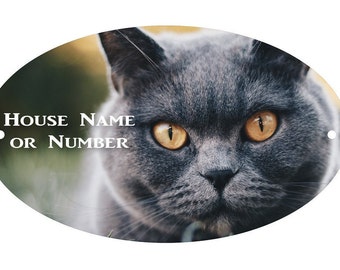 Cat House Sign - Etsy UK