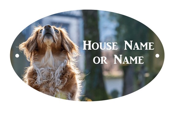 Wall Hangings UV Printed Design Labrador in Green Grass House Sign ...