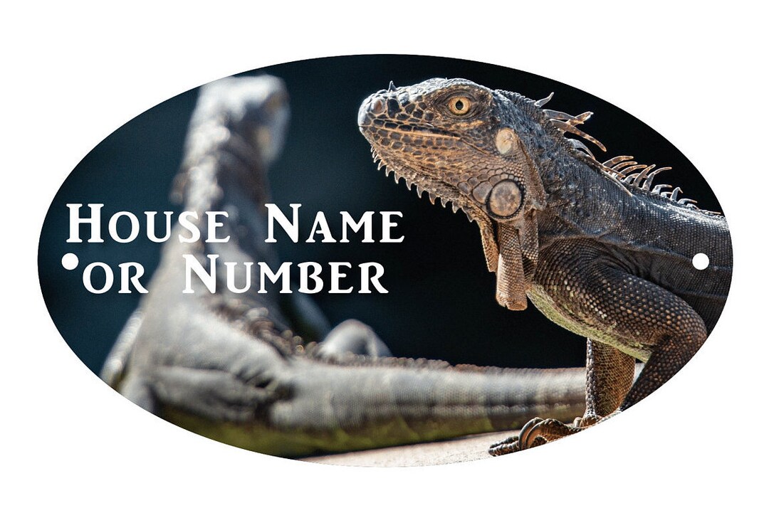 Lizards House Sign Outdoor Metal Printed Coloured House Plaque UV ...
