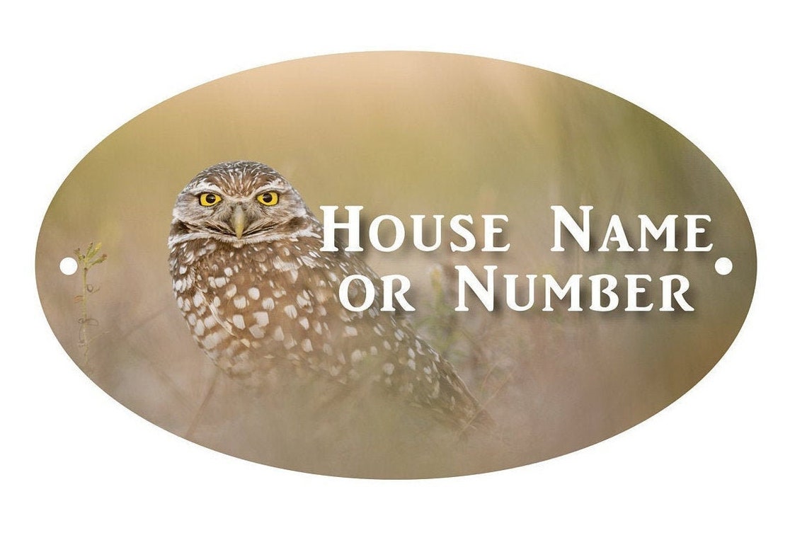 British Birds Owl House Sign Outdoor Metal Printed Coloured - Etsy UK