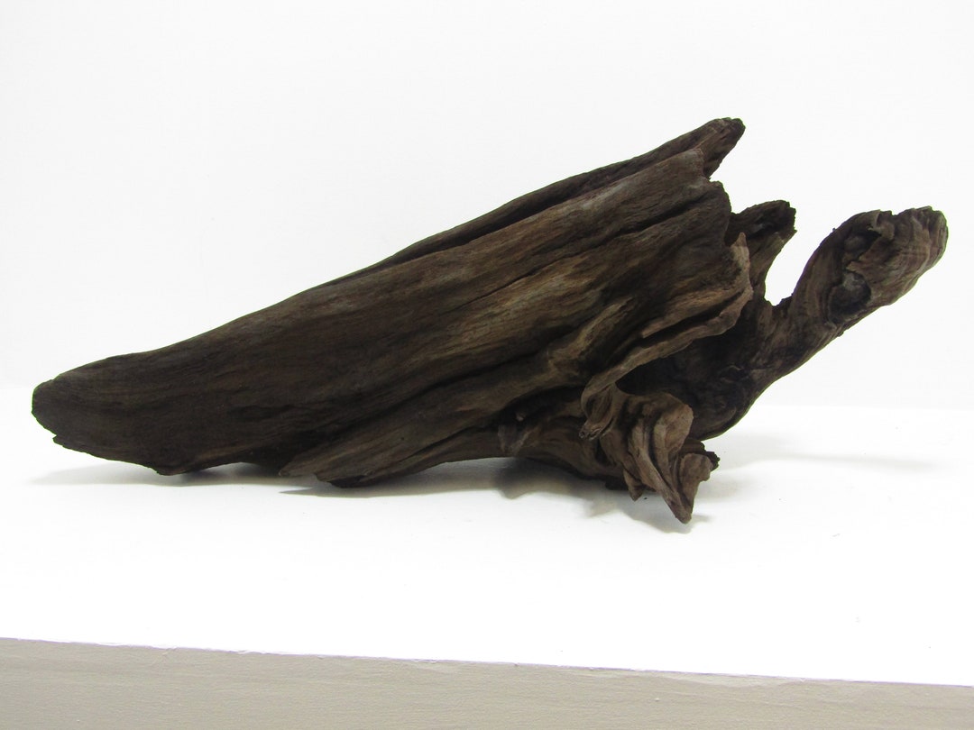 Large Hollow Unfinished Freshwater Driftwood, Decorative Driftwood ...