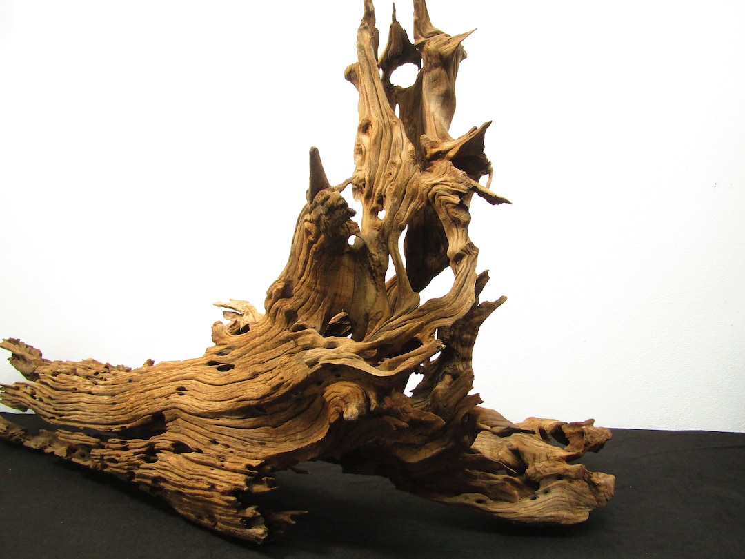 Rare Find/ Driftwood/aquarium Driftwood/decorative Driftwood 52''L 27 ...