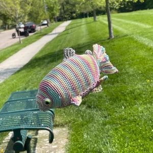 Trout Crochet Pattern - Etsy