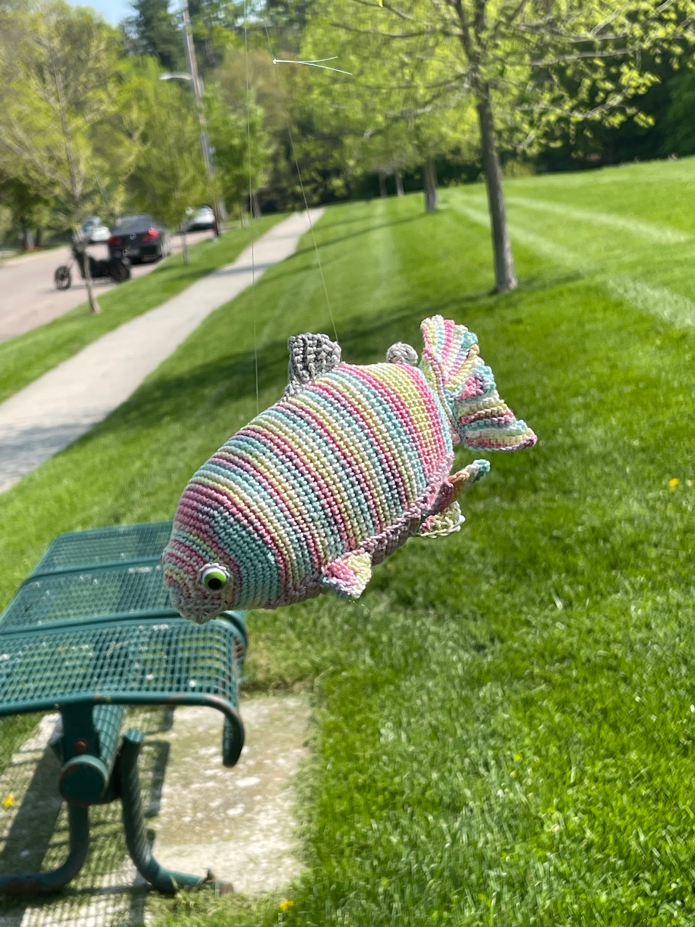 Trout Crochet Pattern - Etsy