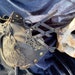 DEMON HALF FACE Steampunk, Mask, Cosplay, Halloween, Mask, Carnival ...