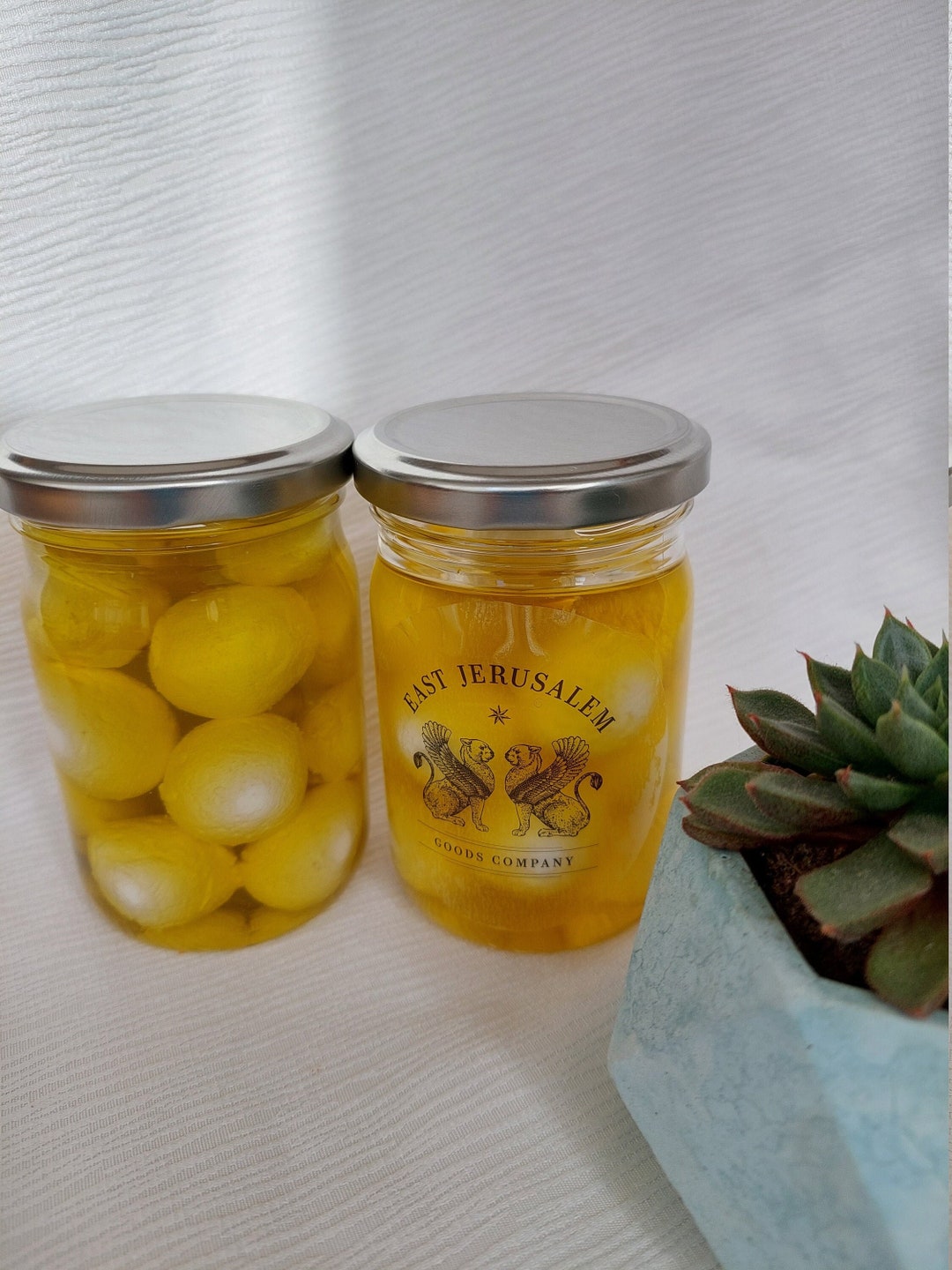 Handmade Labane Goat Cheese Jar With Pure Israeli Olive Oil Gift for ...