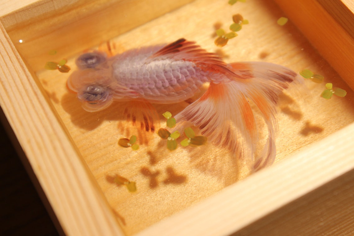 3D Resin Painting Goldfish in Wooden Box Acrylic Painting Gift Hand ...