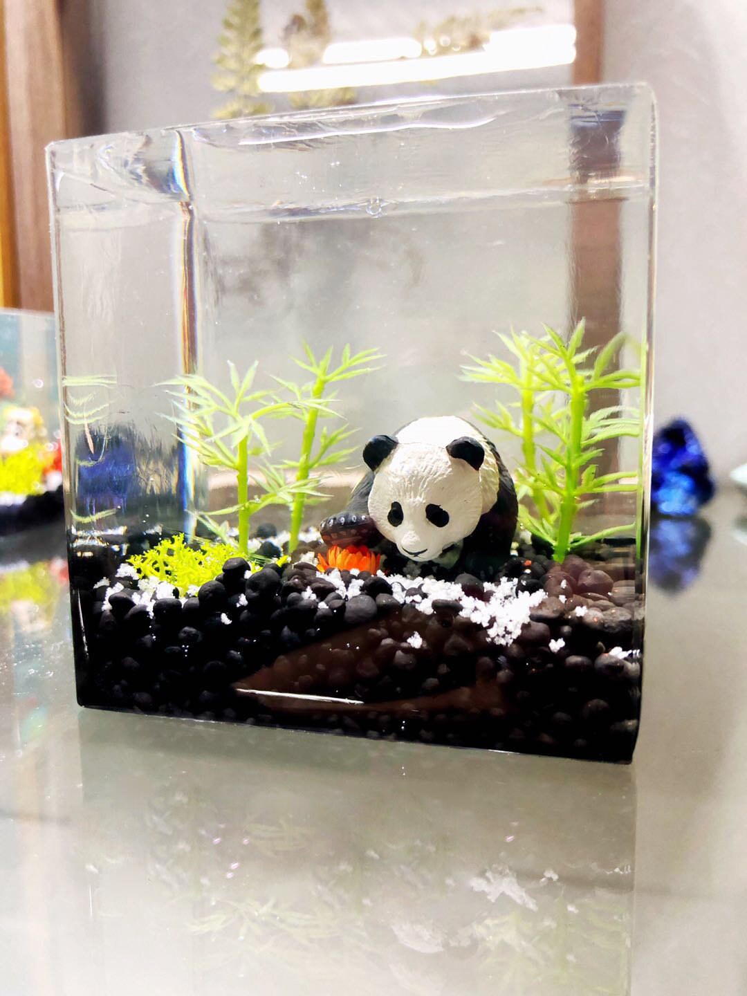 Giant Panda Habitat Diorama