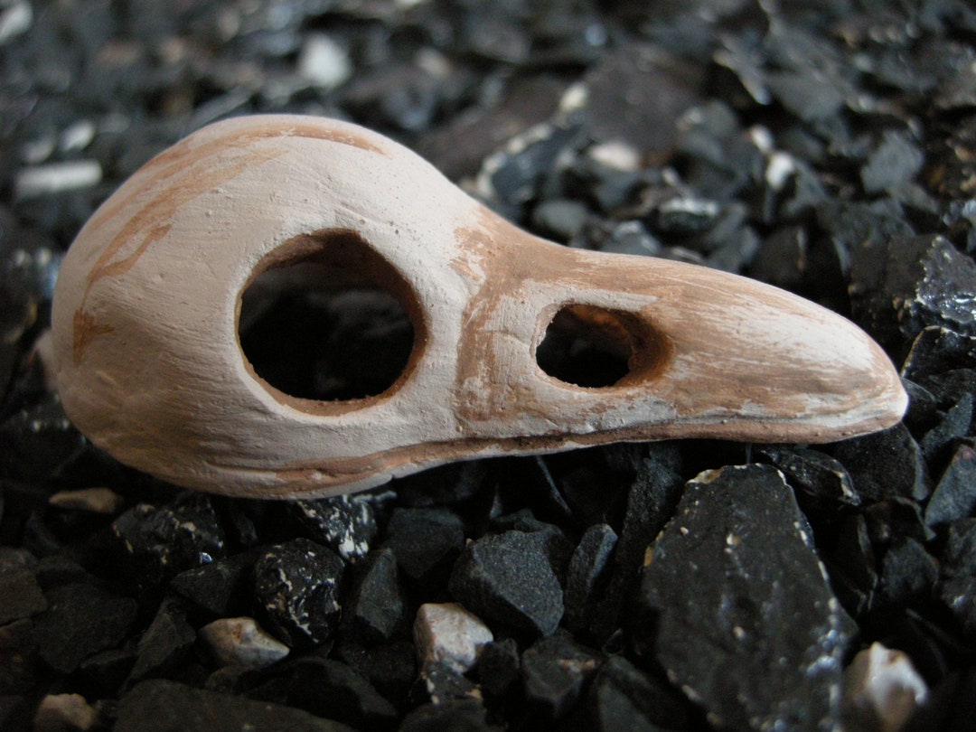 Ceramic Shrimp House. Raven Crow Skull - Etsy