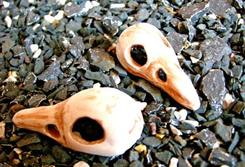 Ceramic Shrimp House. Raven Crow Skull - Etsy