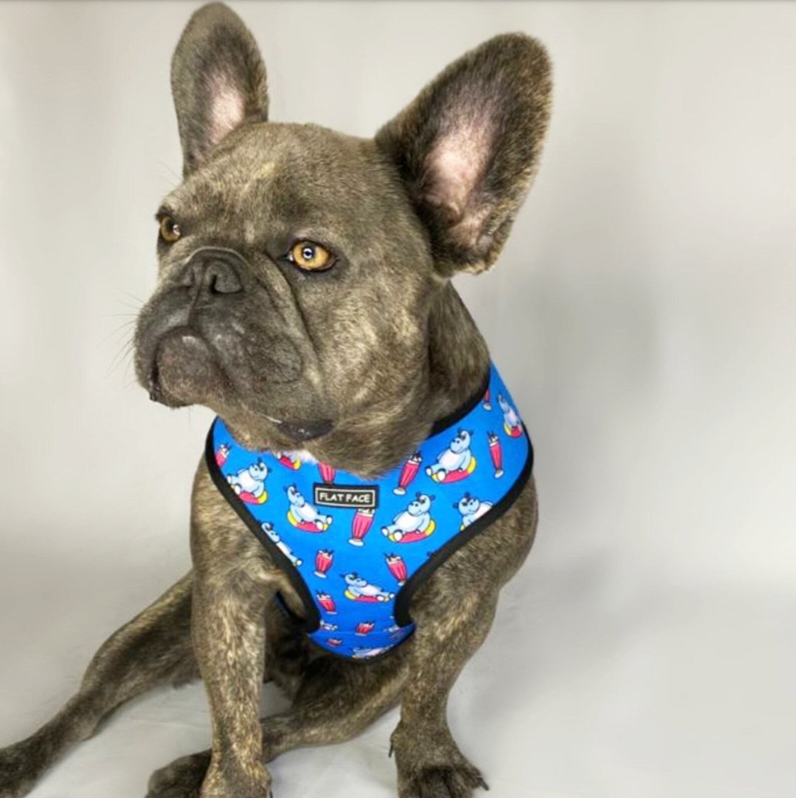 Reversible Dog Harness Octopus and Hippo. suitable for All - Etsy UK