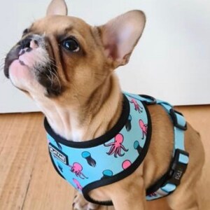 Reversible Dog Harness - Hippo and Octopus (suitable for All Breeds ...
