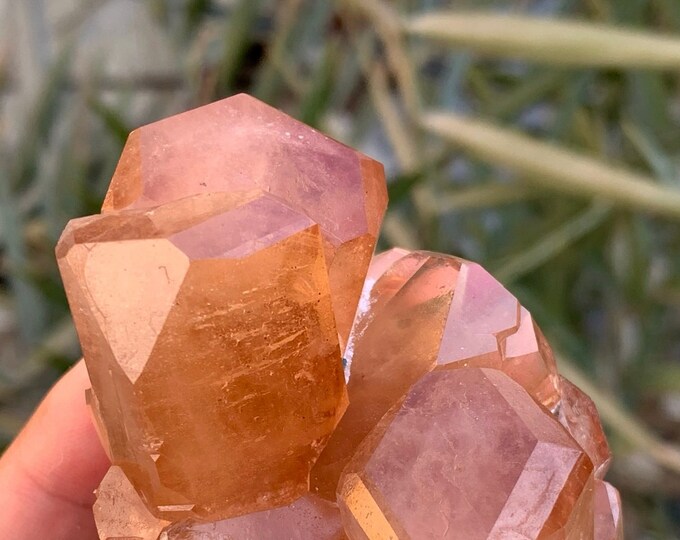 Stunning Golden Colour Transparent Twins Topaz Cluster Specimen From ...