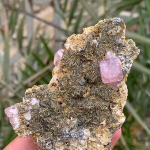 Natural Pink Colour Transparent Apatite Crystal on Muscovite - Etsy