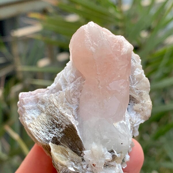 Morganite Ring - Etsy