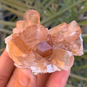 Stunning Golden Colour Transparent Twins Topaz Cluster Specimen From ...