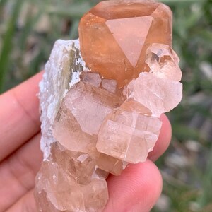 Stunning Golden Colour Transparent Topaz Crystal on Muscovite Specimen ...
