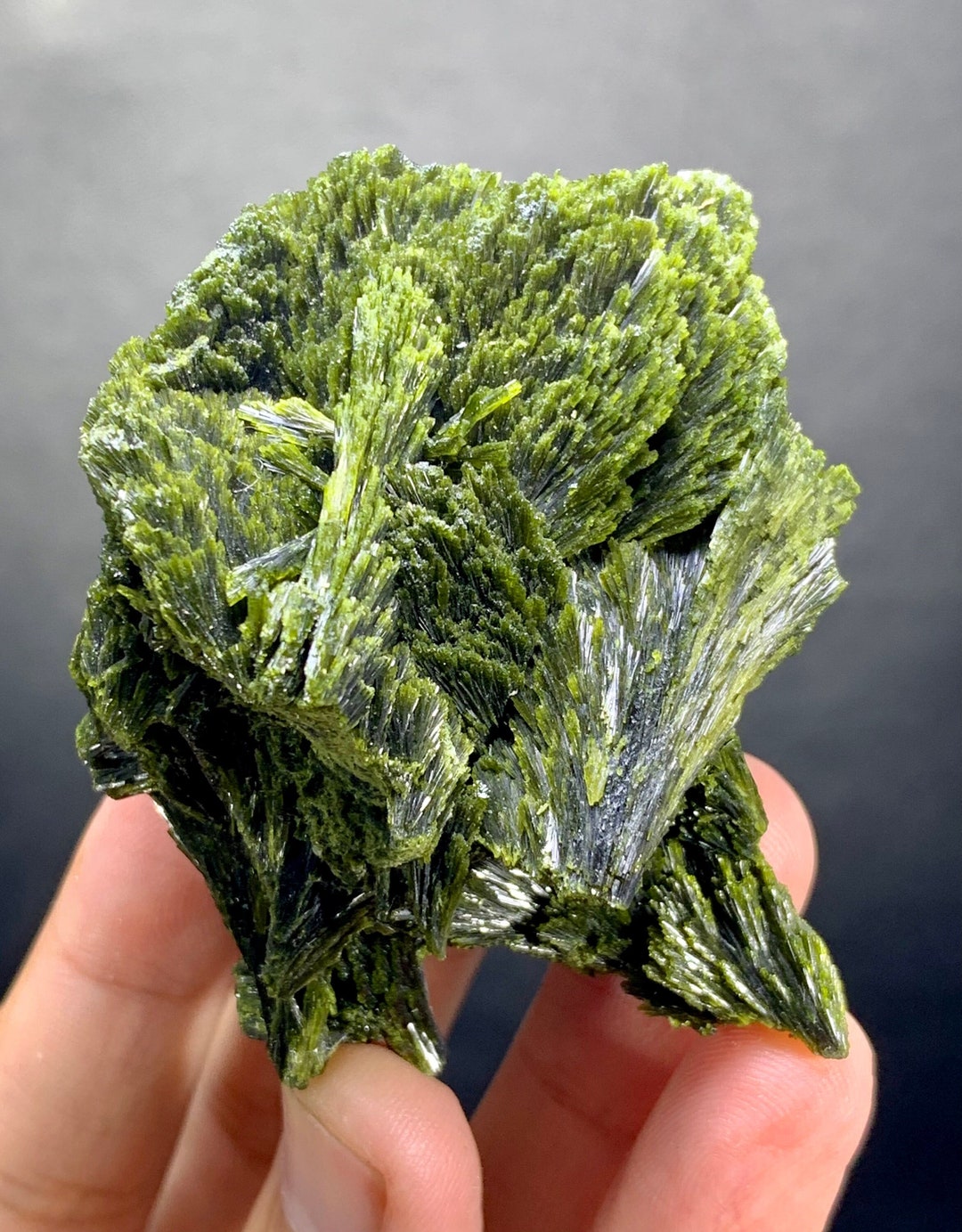 Natural Green Epidote Crystal Bunch Specimen, Epidote Crystal, Lush ...
