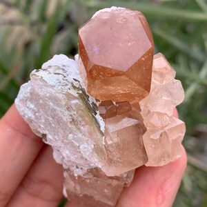 Stunning Golden Colour Transparent Topaz Crystal on Muscovite Specimen ...