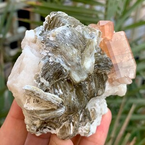 Stunning Golden Colour Transparent Twins Topaz Crystal on Matrix ...