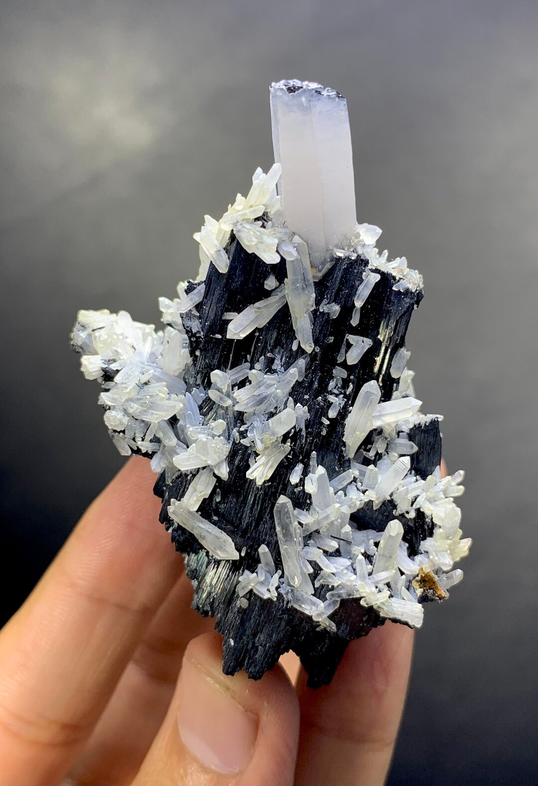 Natural Lovely Quartz Crystals Bunch With Black Tourmaline Combined ...