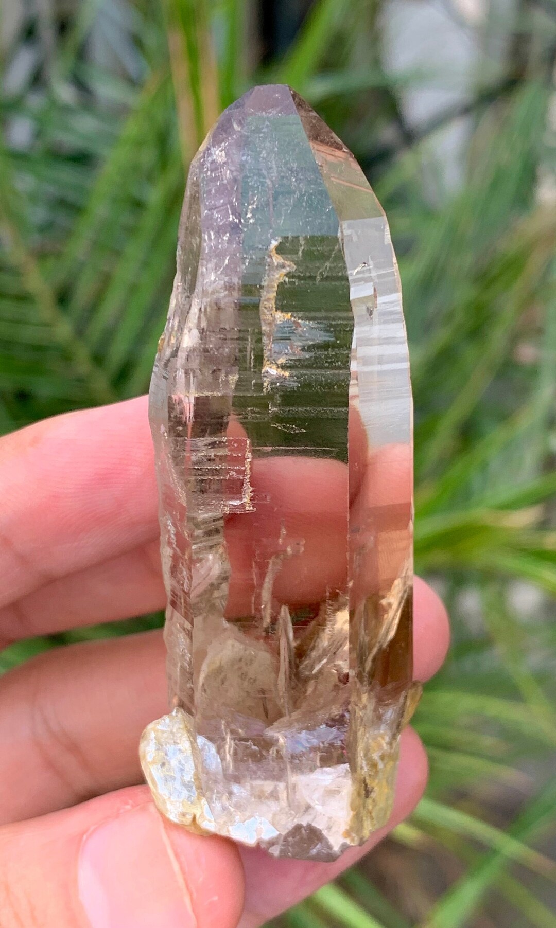 Natural Full Transparent Smokey Quartz Crystal on Muscovite - Etsy