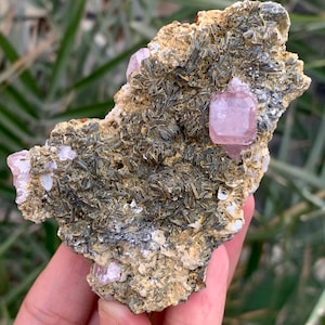 Natural Pink Colour Transparent Apatite Crystal on Muscovite - Etsy