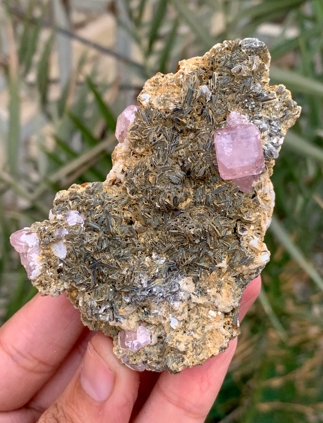 Natural Pink Colour Transparent Apatite Crystal on Muscovite Pink ...