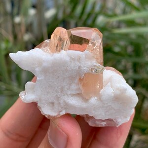 Amazing Golden Colour Transparent Topaz Crystal on Matrix Specimen From ...