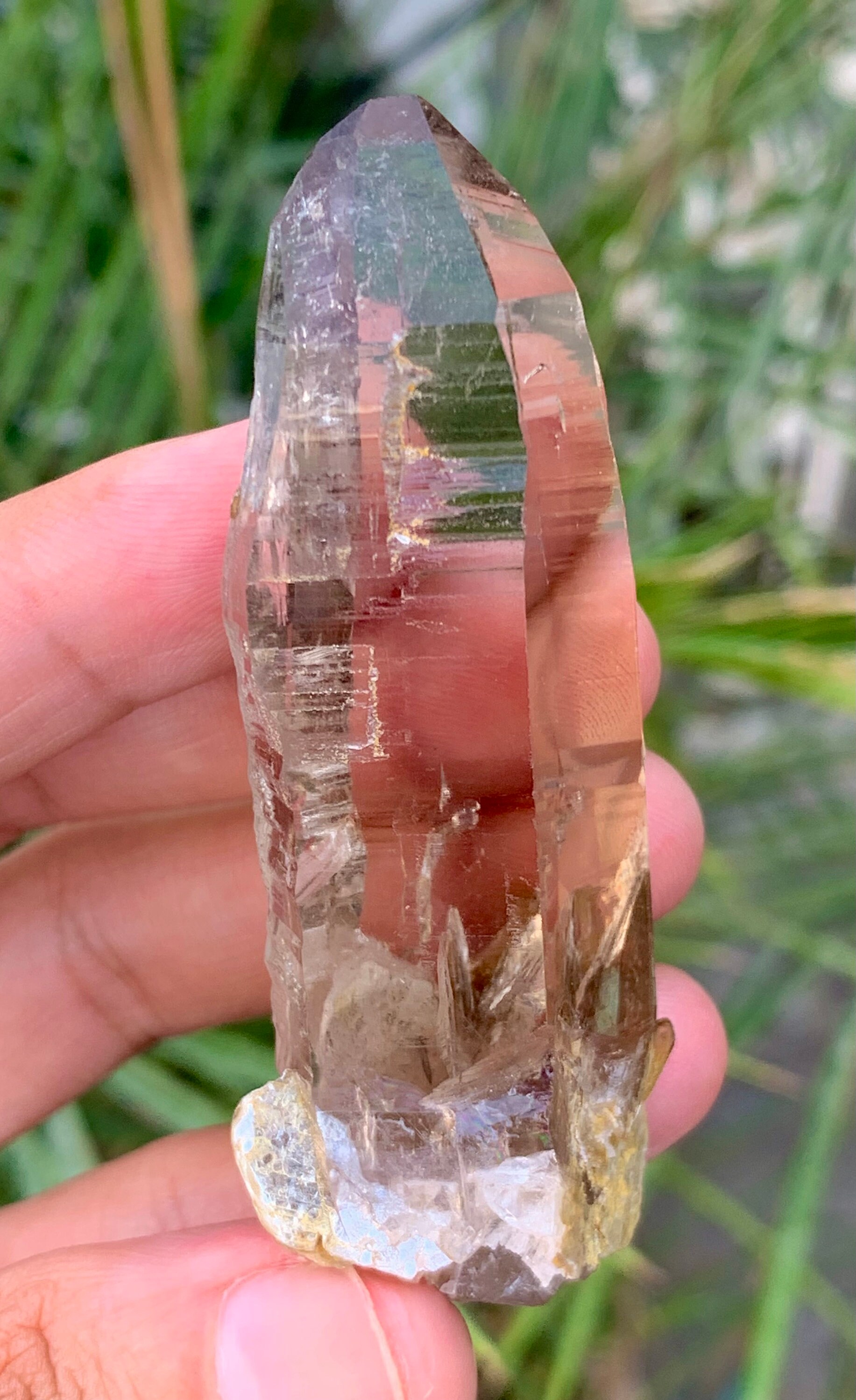 Natural Full Transparent Smokey Quartz Crystal on Muscovite - Etsy