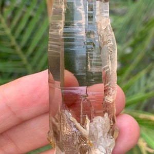 Natural Full Transparent Smokey Quartz Crystal on Muscovite - Etsy