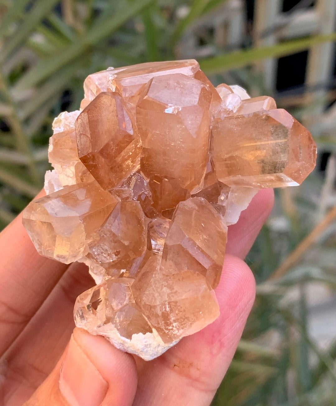 Stunning Golden Colour Transparent Twins Topaz Cluster Specimen From ...