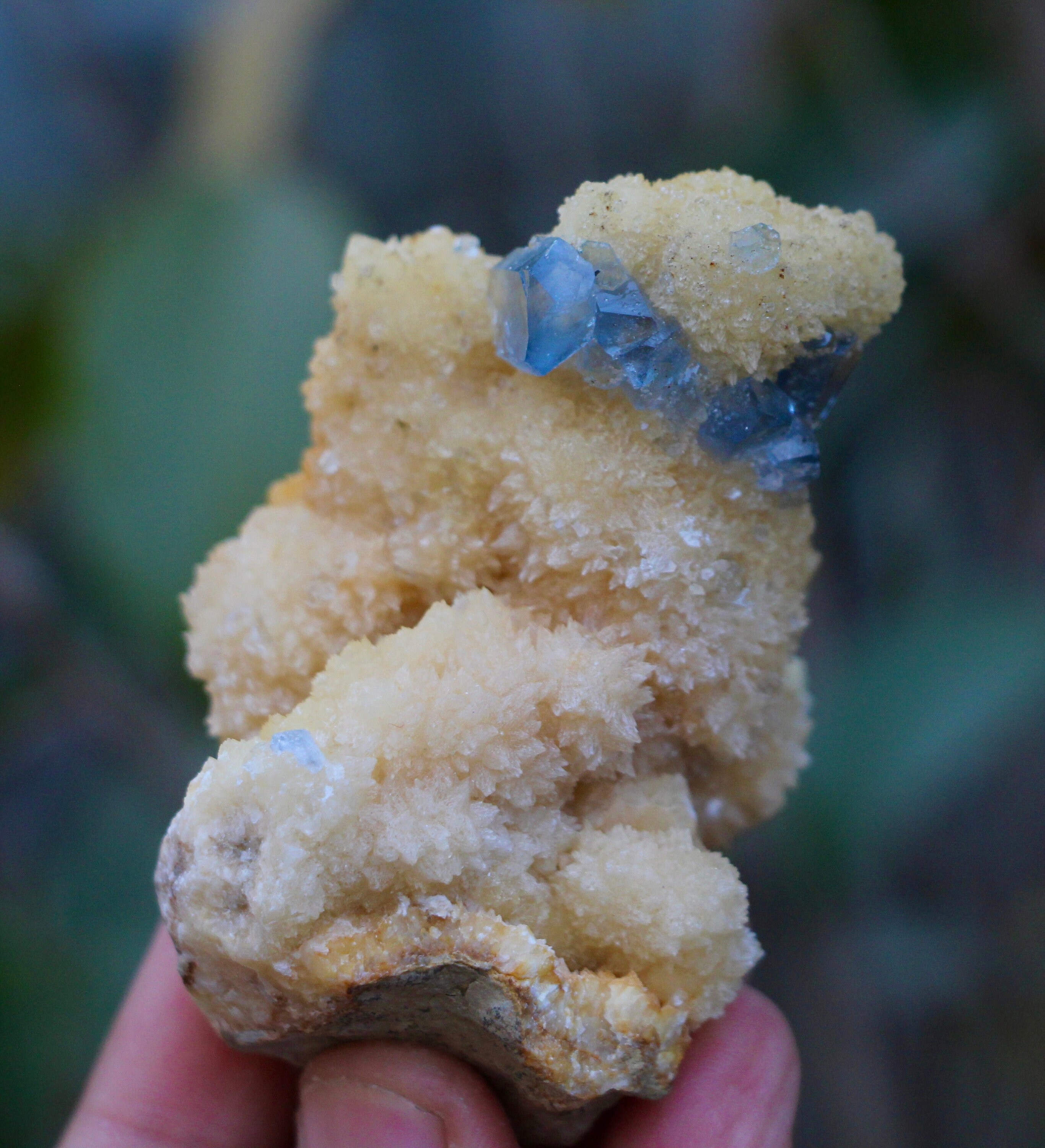 Natural Blue Colour Rare Celestine Crystal Specimencelestine - Etsy