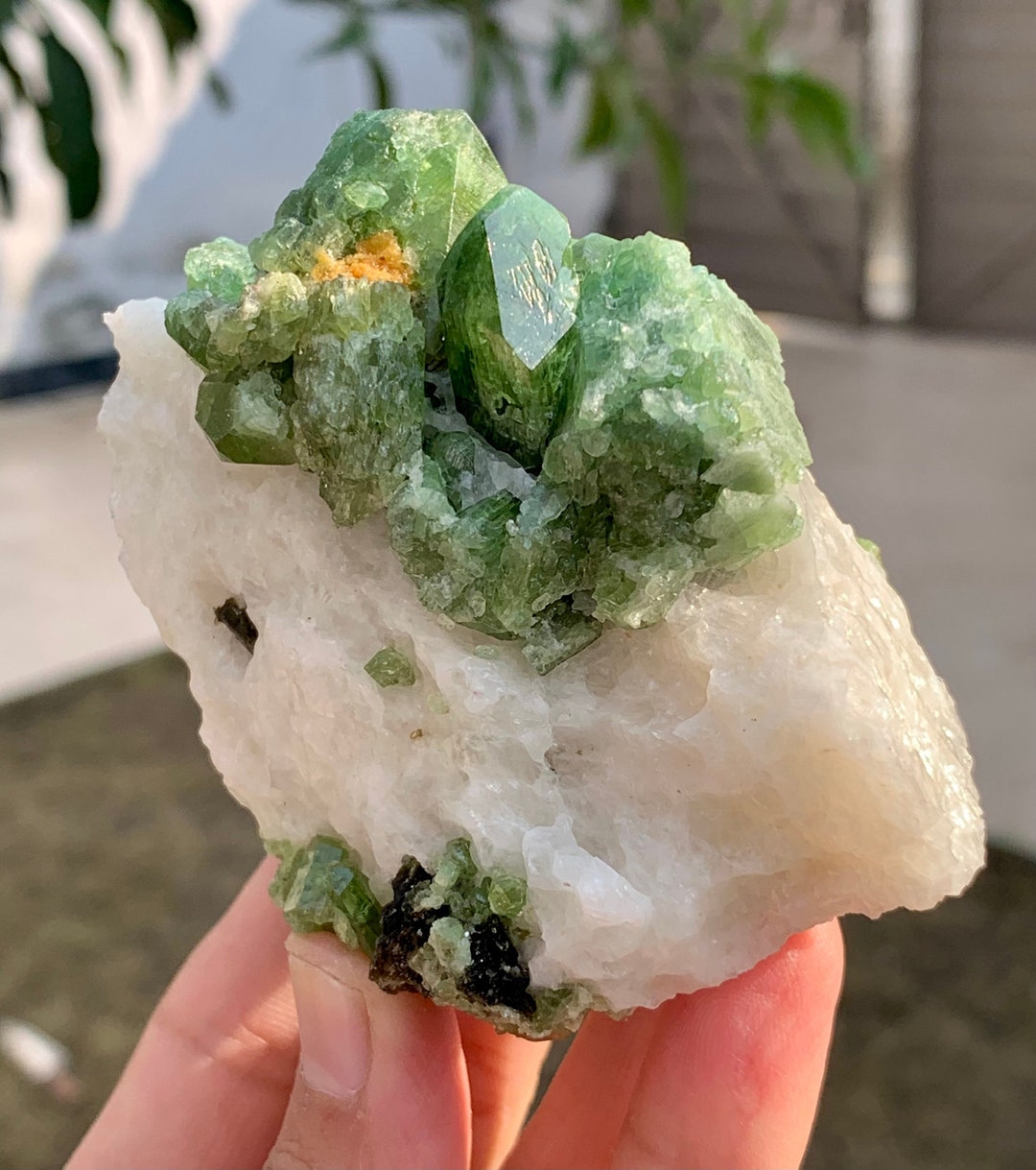 Natural Green Colour Diopside Crystal Specimen on Matrix From - Etsy