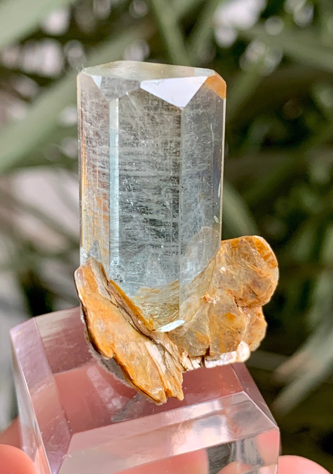 Natural Transparent Sky Blue Aquamarine Crystal on Muscovite Specimen ...