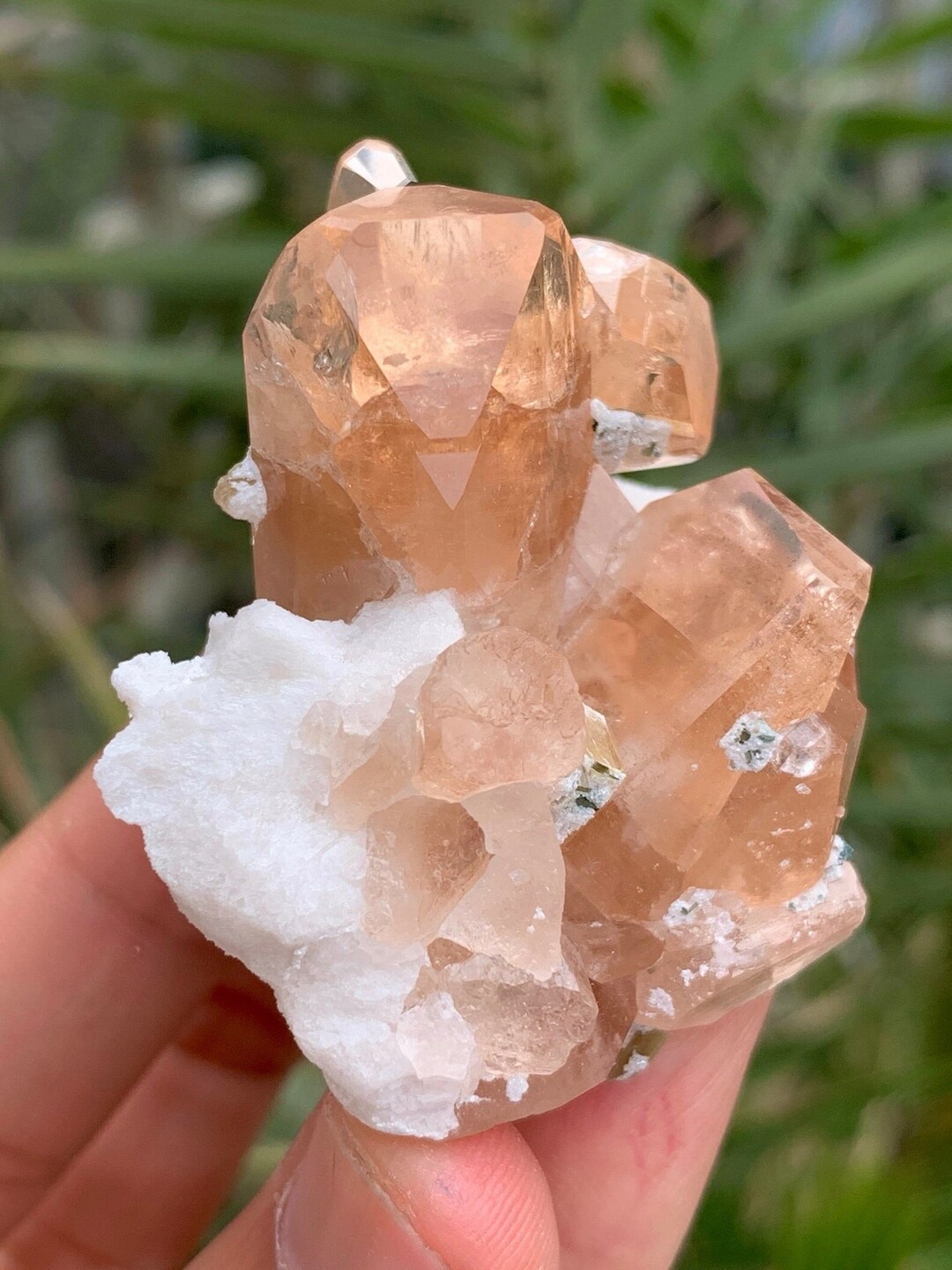 Amazing Golden Colour Transparent Topaz Crystal on Matrix Specimen From ...