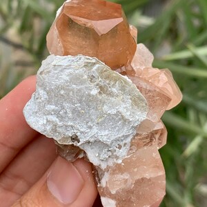 Stunning Golden Colour Transparent Topaz Crystal on Muscovite Specimen ...