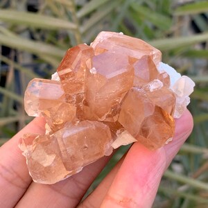 Stunning Golden Colour Transparent Twins Topaz Cluster Specimen From ...
